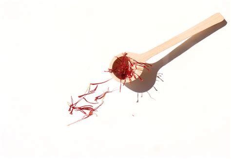 가을 정물 장면 햇빛에 흰색 배경에 사프란 크로커스로 일반적으로 알려진 크로커스 사티푸스 진홍색 나무 숟가락에 낙인 길고 가혹한