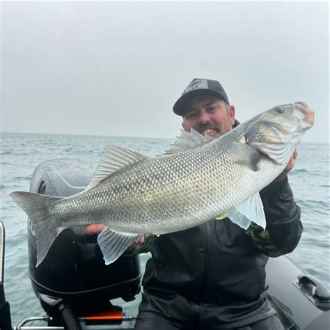Les 5 Meilleurs Appâts Naturels Pour Pêcher La Dorade Royale