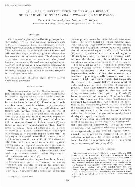 Pdf Cellular Differentiation Of Terminal Regions Of Trichomes Of Oscillatoria Princeps