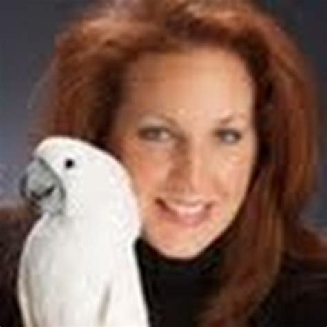 Lara Joseph Personal Page Youtube