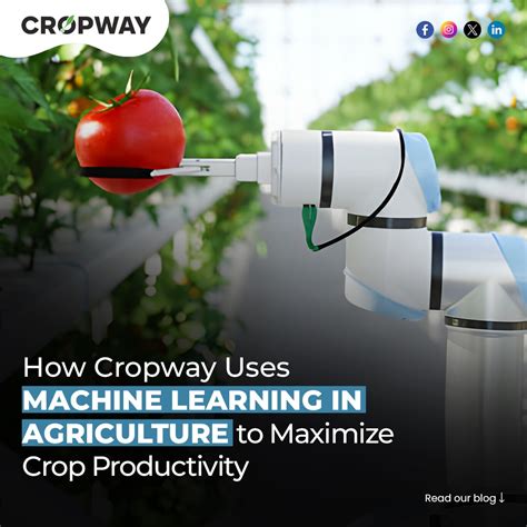 Cropway Empowers Agriculture Machine Learning Boosts Crop Yield