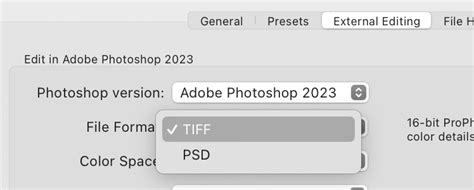 P Add Psb As A File Format For External Editing Adobe Community