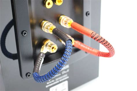 Advantages And Disadvantages Of Bi Wiring Speakers