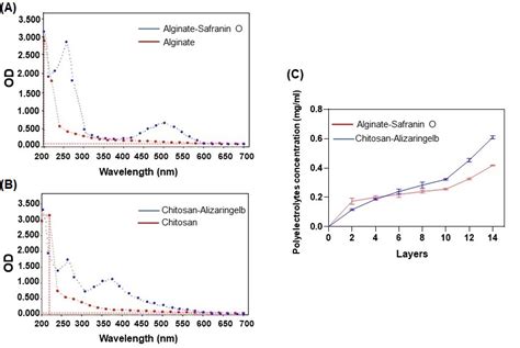 Cell Encapsulation Using Layer By Layer Assembly Of Polyelectrolytes