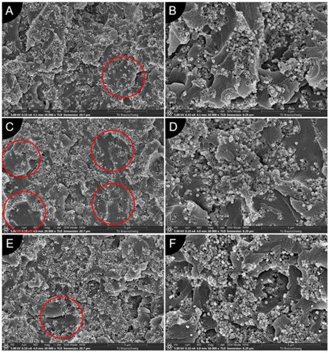J Compos Sci Special Issue Processing Characterization And Properties Of Particulate