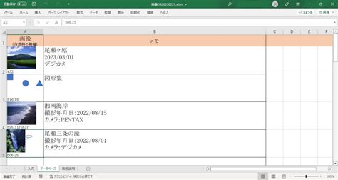 Yahooオークション 画像データベースソフトウェア Excel Vba