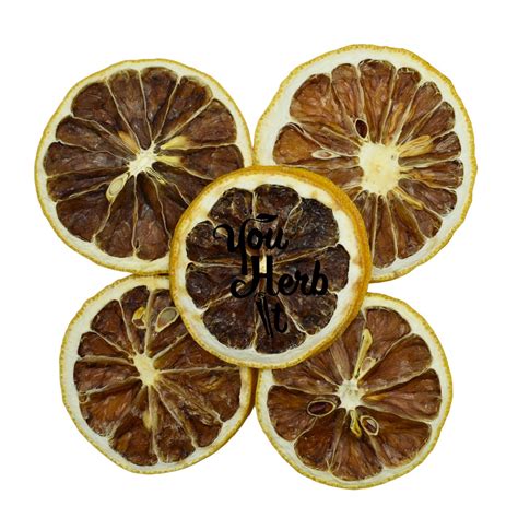 Lemon Dried Slices Citrus Limon L