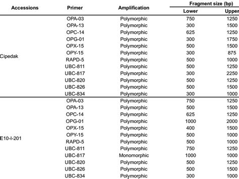 Electrophoretic Amplification And Fragment Size Of 13 M1 Accession And Electrophoretic Amplification And Fragment Size Of 13 M1 Accession And