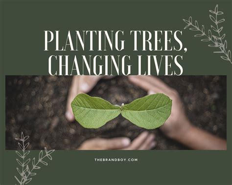 Benefits Of Planting Trees Slogan At Mary Settle Blog