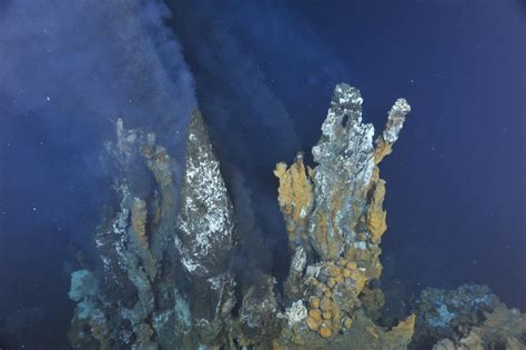 Ultra Fine Scale Seafloor Mapping Schmidt Ocean Institute