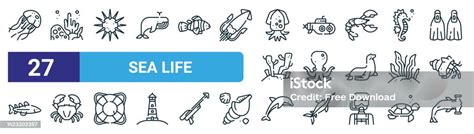 해파리 산호초 성게 잠수함 문어 게 돌고래 웹 디자인 모바일 앱을위한 해머 헤드 벡터 얇은 선 아이콘과 같은 27 개의 개요 웹 바다 생물 아이콘 세트 게에 대한 스톡 벡터