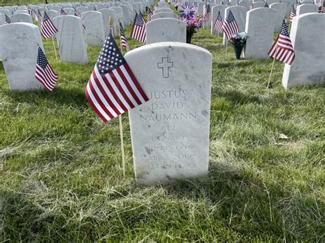 Justus David Naumann Flags For Fort Snelling