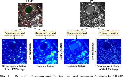 Figure 1 From Drformer Learning Disentangled Representation For Pan