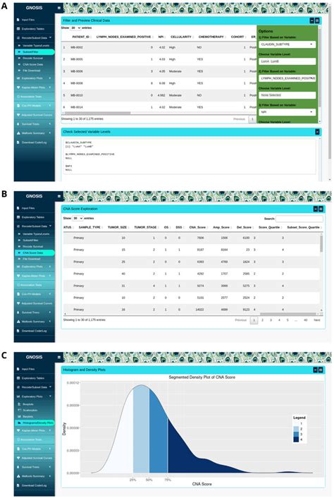A The Recodesubset Tab Where Data Is Being Subsetted Based On