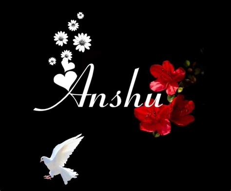 1897 Anshu Name Dp For Whatsapp And Instagram 4k Hd Pictures