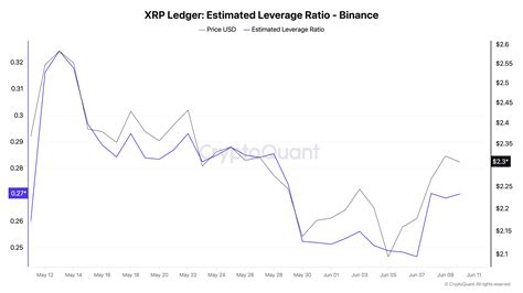 Xrp Derivatives Traders Boost Leverage As Funding Costs Jump