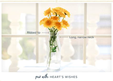 14 Vase Shapes How To Choose Proflowers Blog