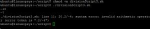 Bash Division Explained