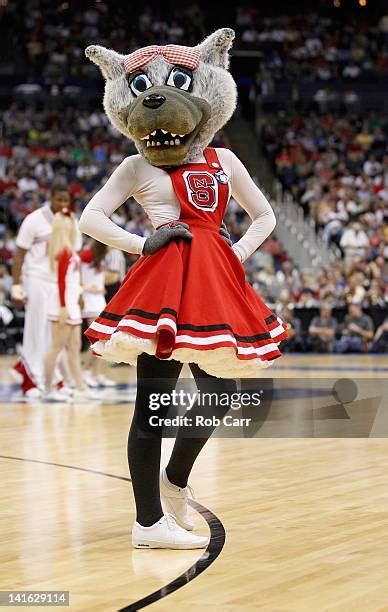 Nc State Wolfpack Mascot Photos And Premium High Res Pictures Getty