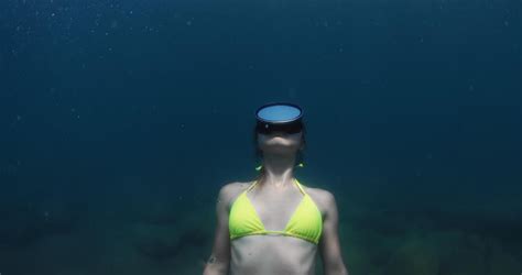 Underwater Bikini Stock Video Footage For Free Download
