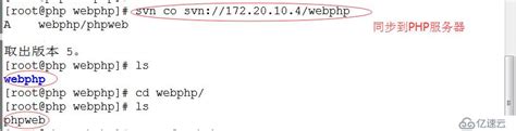 如何进行svn客户端配置及php程序员代码导入编程设计itguest