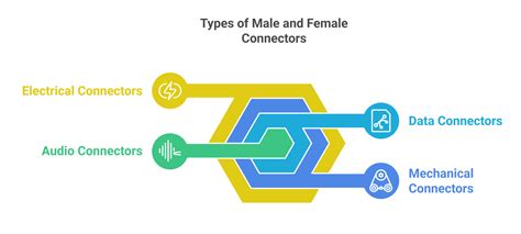 Understanding Male And Female Connectors Types Differences