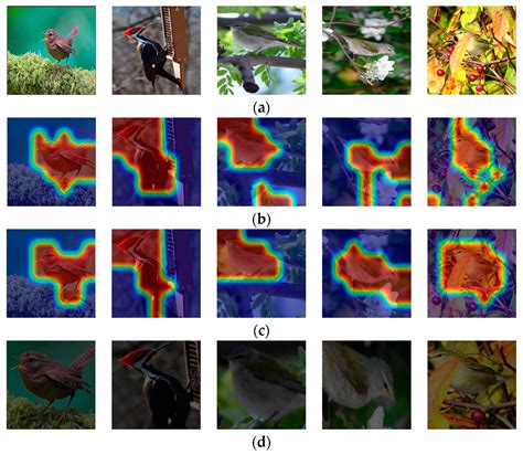 Fine Grained Image Retrieval Via Object Localization