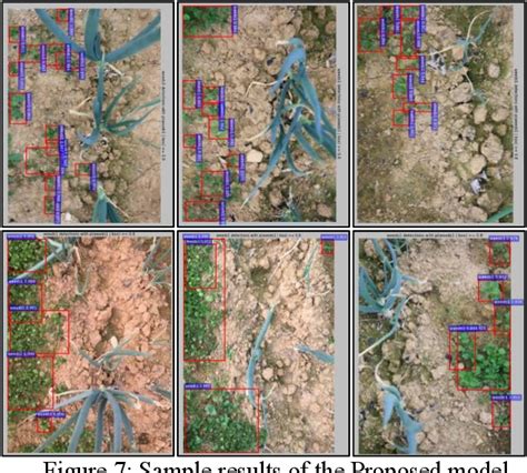 Figure 1 From Farm Land Weed Detection With Region Based Deep Convolutional Neural Networks