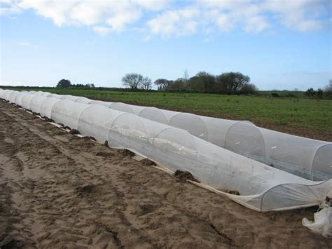 fine mesh insect netting smart net systems industrial netting systems