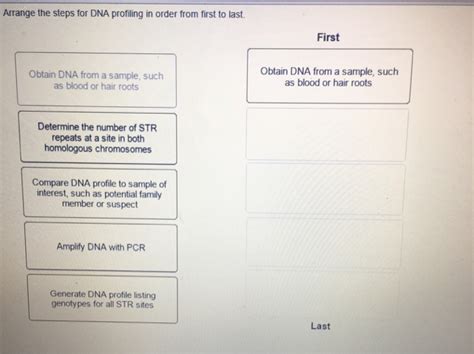 Solved Arrange The Steps For Dna Profiling In Order From