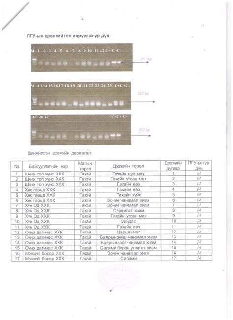 Экспортын үйлдвэрийн бүтээгдэхүүнд эргэлзэх хэрэггүй Comment Mn