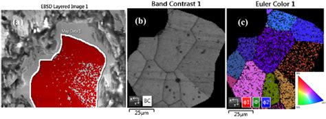 Ebsd Diagram Of Polycrystalline Powder Structure Download Scientific