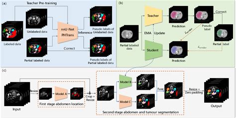 Two Stage Hybrid Supervision Framework For Fast Low Resource And