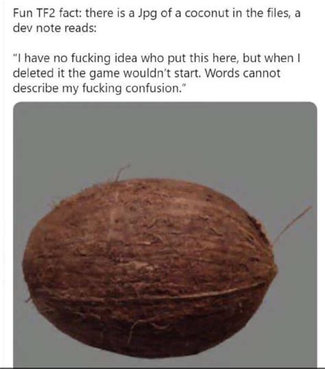 Import Random Rprogramminghorror