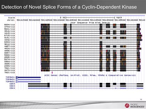 Full Length Cdna Sequencing Pdf