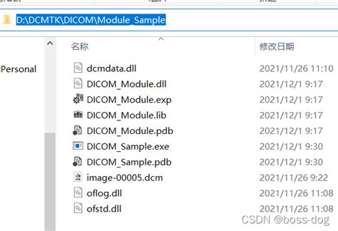 使用dcmtk实现dicom文件的读写 Csdn博客