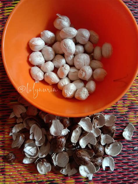 Tak Sangka Biji Getah Boleh Diproses Menjadi Minyak Diesel And Cara Buat Resepi Sambal Biji Getah