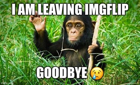 Goodbye Funny Meme