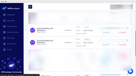Validating License Pro Essential Addons For Elementor