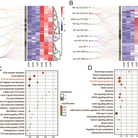 Tsrna Mirna Mrna Co Expression Network A B Mulberry Leaf Plot Of The Download Scientific