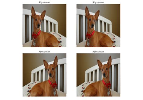 Practical Guide To Transfer Learning In Tensorflow For Multiclass Image Classification Towards