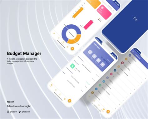 Create Your Android Or Ios Mobile Application Using Flutter By Fedenhf