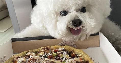 Peesha Album On Imgur