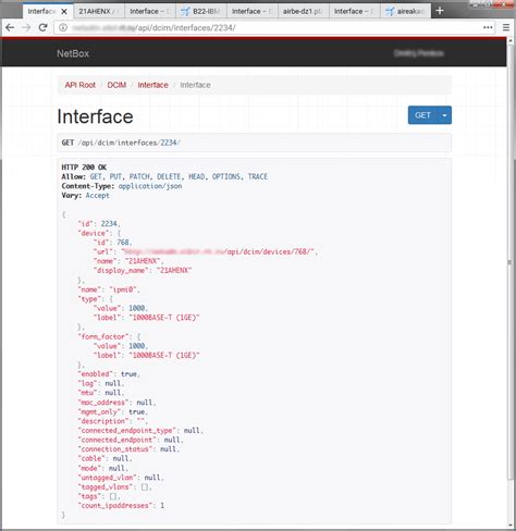 Impossibility Of Getting Info About Interface Object Thats Hanged On Vm · Issue 3417 · Netbox