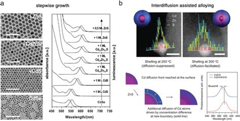Full Article Interfacial Engineering Of Core Shell Heterostructured Nanocrystal Quantum Dots