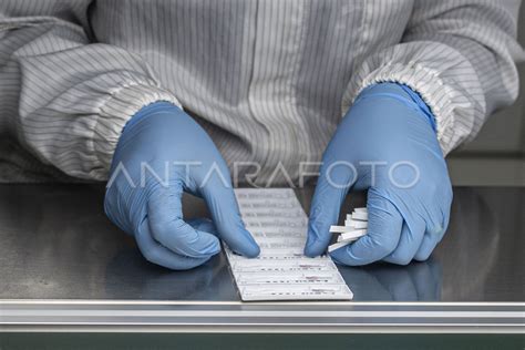 Factory Inauguration Pt Standard Biosensor Healthcare Antara Foto