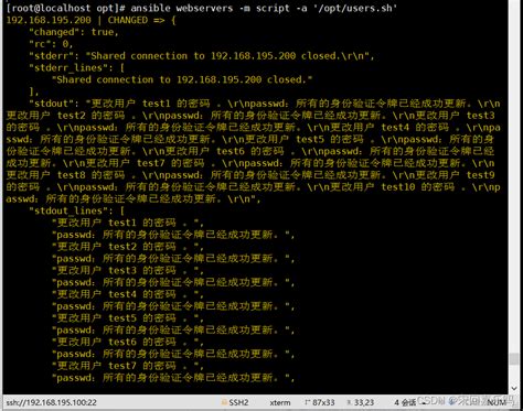 自动化运维工具 Ansibleansible Playbook启动服务 Csdn博客