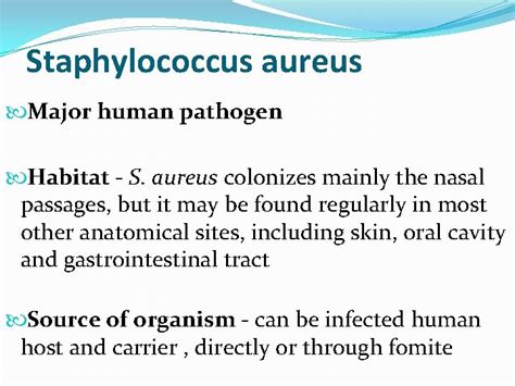 Staphylococci Introduction Staphylococci Are Grampositive Spherical Bacteria Arranged