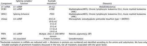Splicing Factor Mutations And Diseases Discussed Download Scientific Diagram