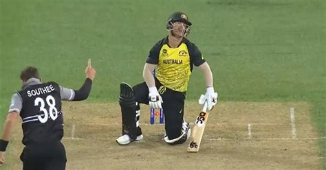 David Warner Suffers Bizarre Dismissal As Australia Thrashed By 89 Runs